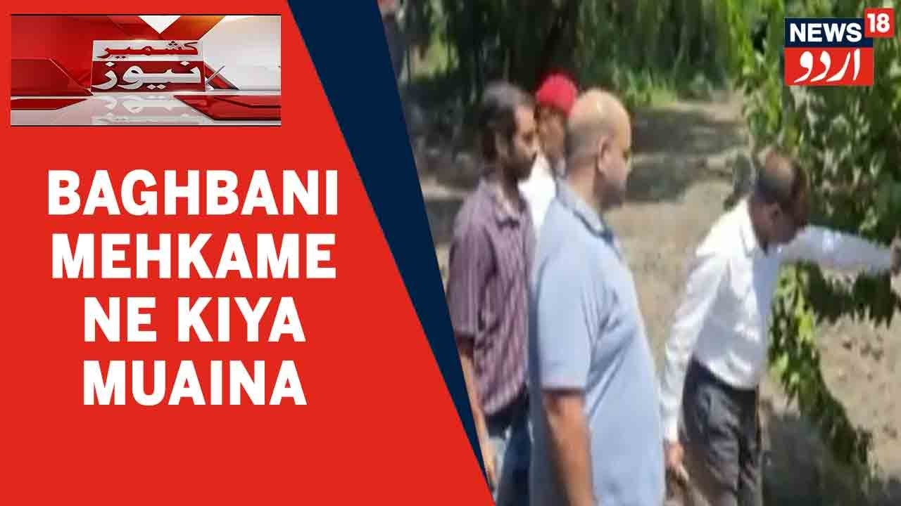 Kashmir News | Akhnoor Mein Baghbani Mehkame Ne Sarakri Phal Paudhe Ka Muaina Kiya Gaya - YouTube