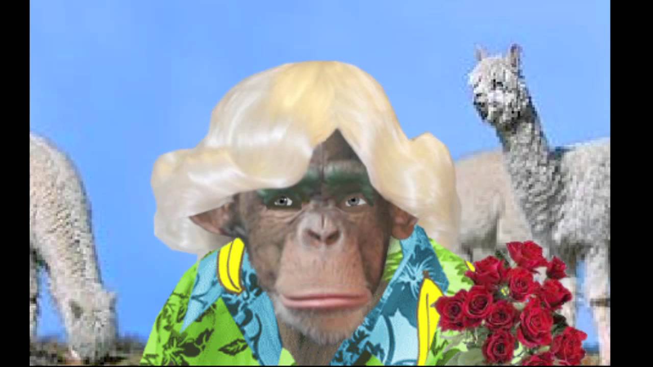 Monk-e-Mail - It's Spring Ashely - YouTube