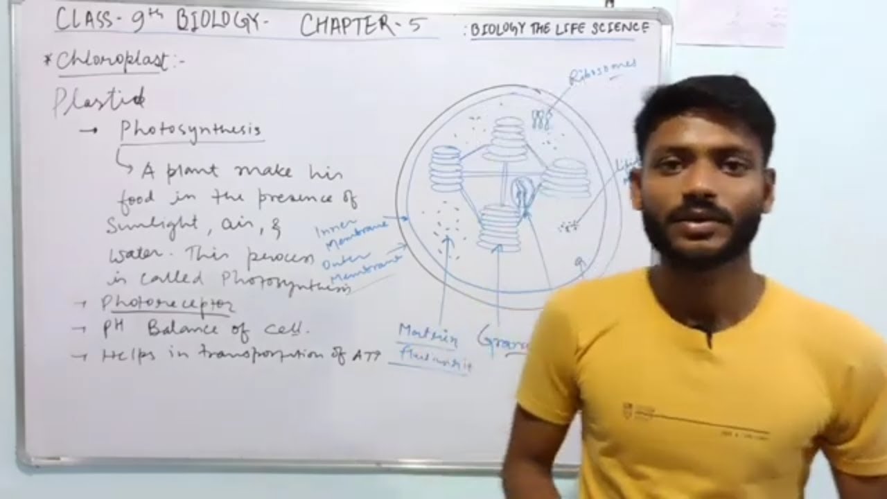 CHLOROPLAST | THE FUNDAMENTAL UNIT OF LIFE, Class 9th, Chapter- 5th ...