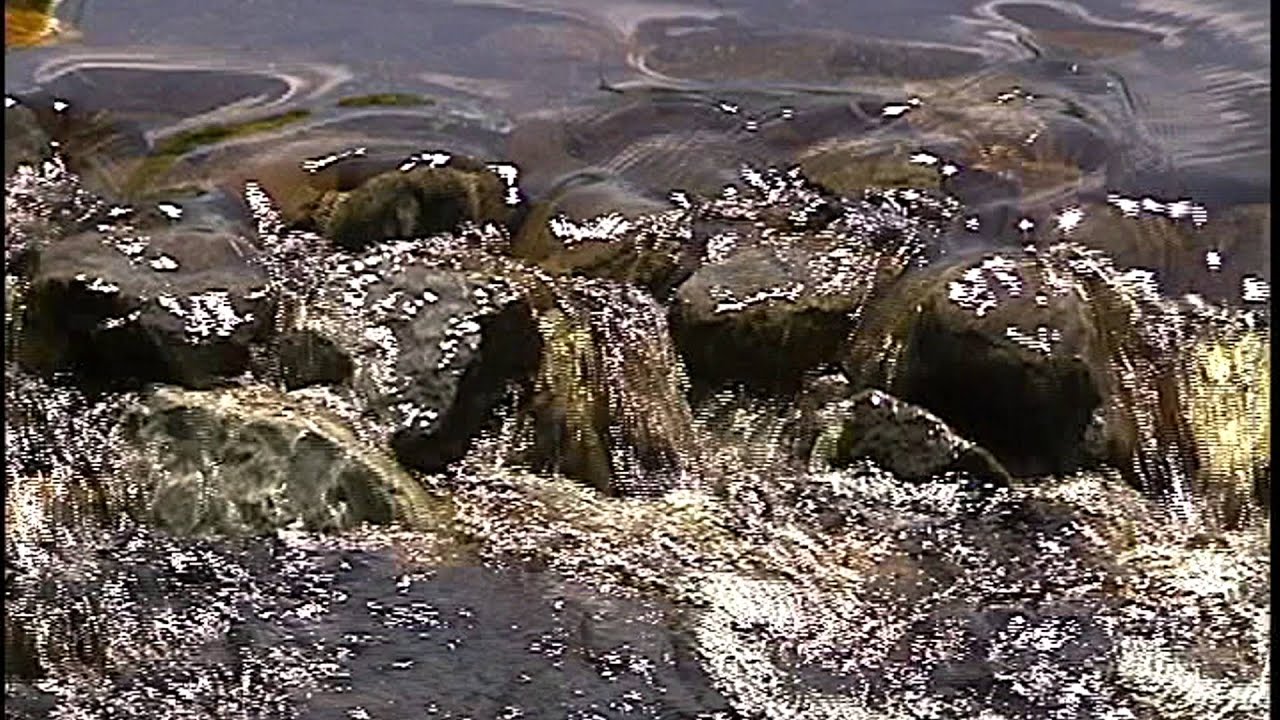 Pro-Environment PSA by Alec Baldwin - YouTube