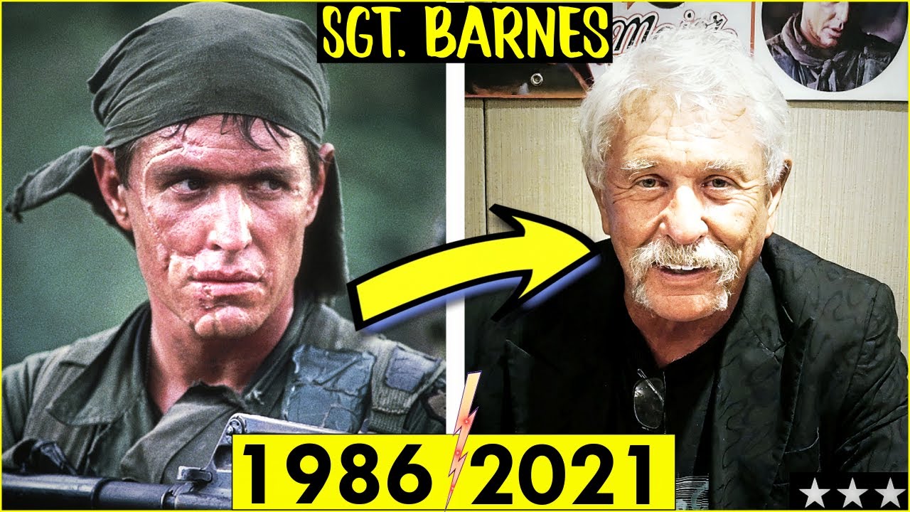 Platoon Cast: Then And Now World War Wings, 40% OFF