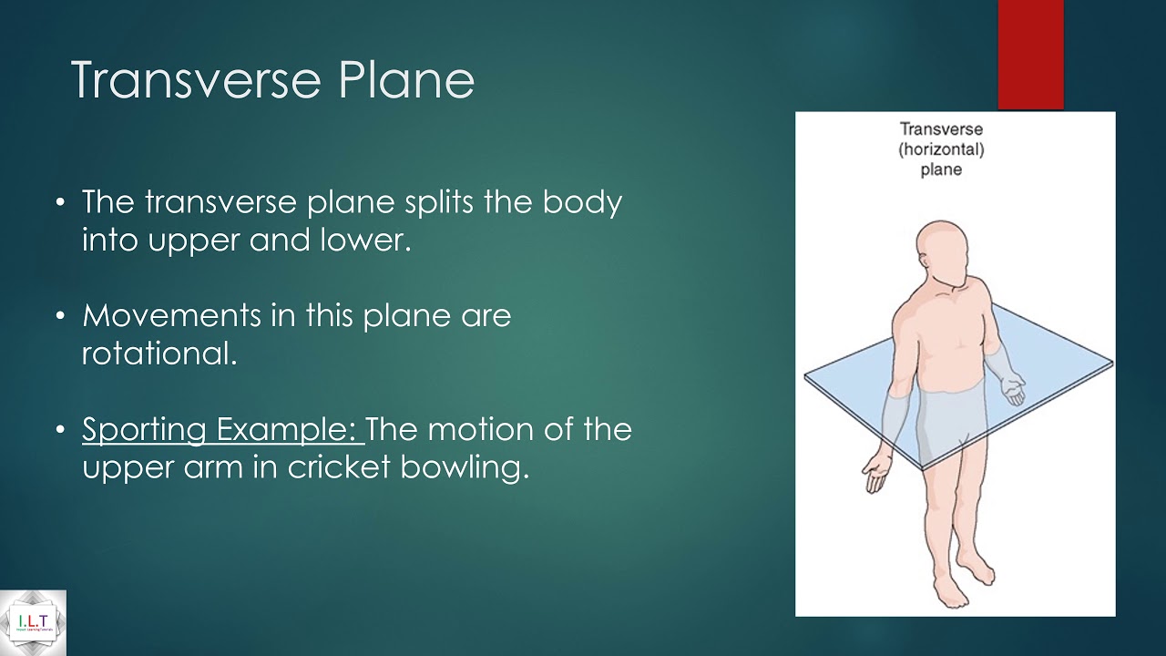 (Easy GCSE PE Tutorial) Learn The Planes Of Movement Under 2 Minutes ...