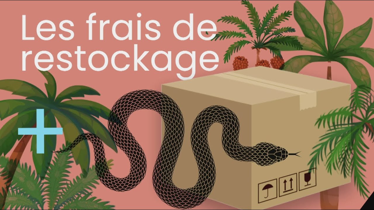 La facture | Achat en ligne et frais de retour - YouTube