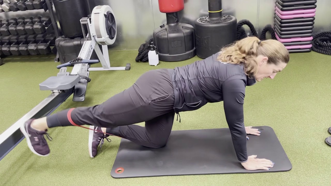 Quadruped leg extensions - YouTube