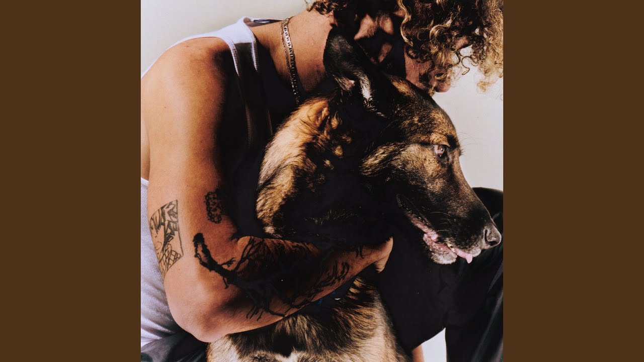 Conditionnés à décevoir (Affamé #15) - YouTube