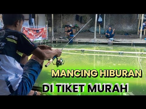 Mancing hiburan di tiket murah ‼️ - YouTube