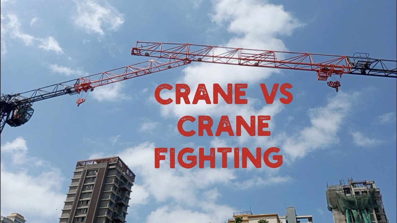 Crane Vs Crane Fighting 💪#crane - YouTube