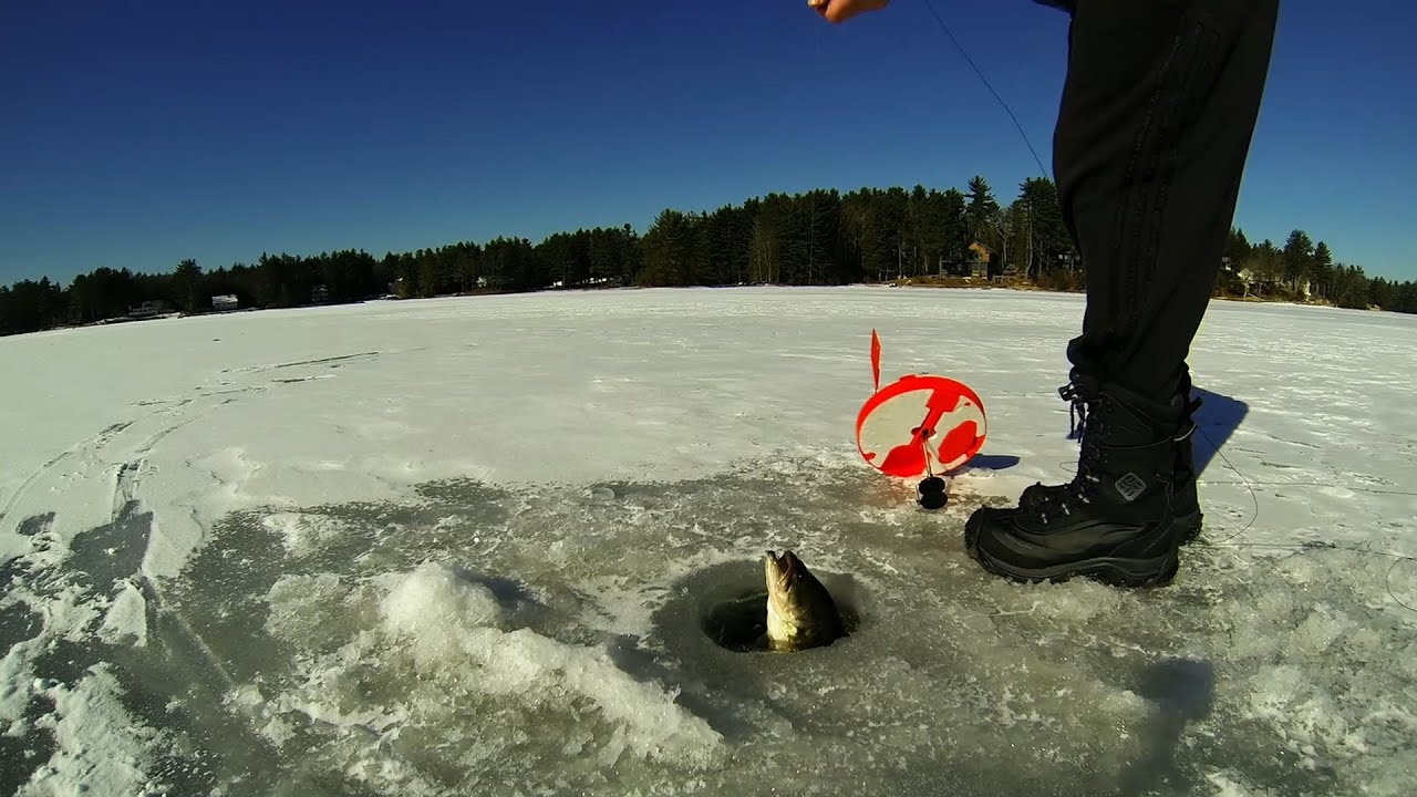 Ice Fishing Nice Bass - YouTube