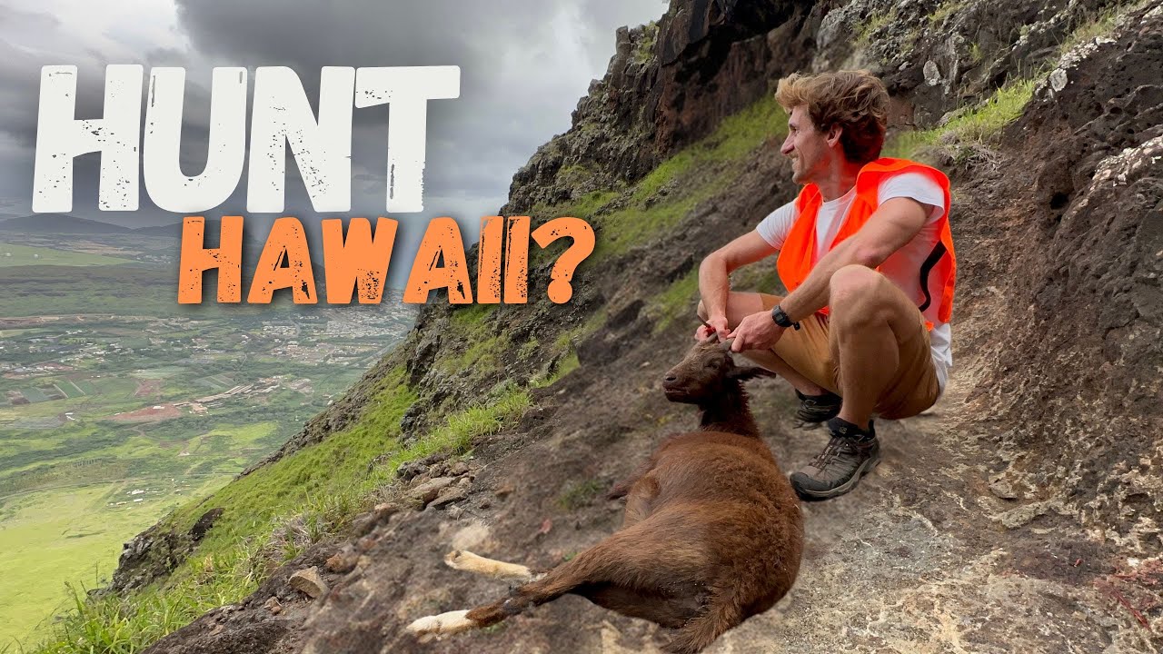 How & Where To Hunt In Hawaii - YouTube