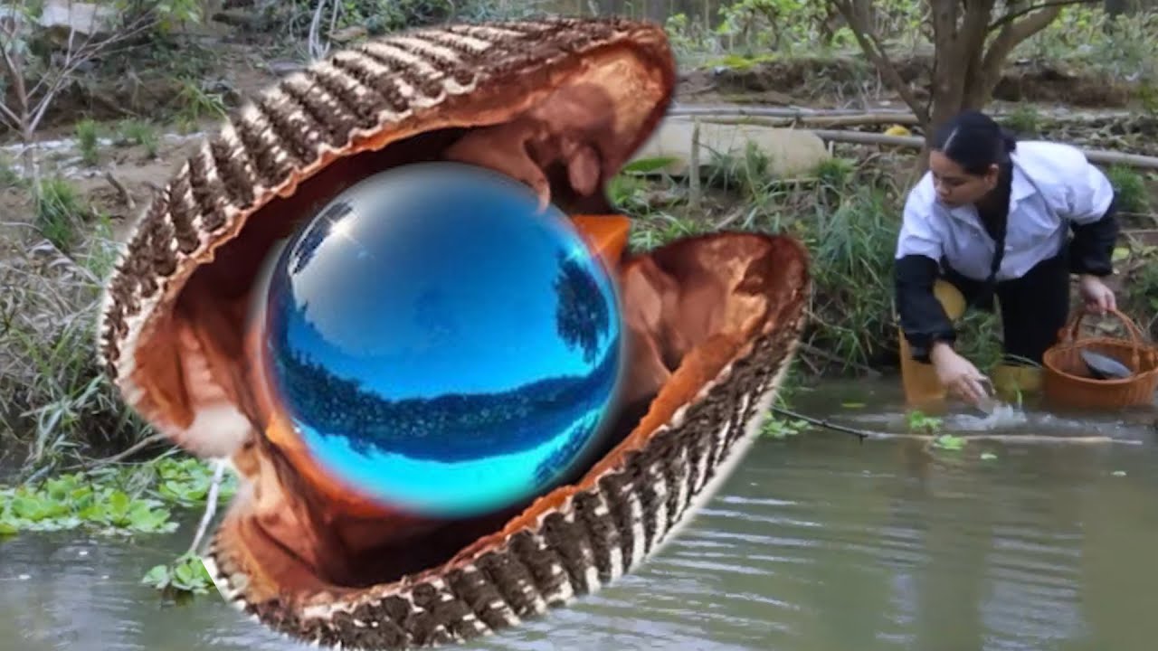 The mutated blood clam has grown for a hundred years, giving birth to a ...