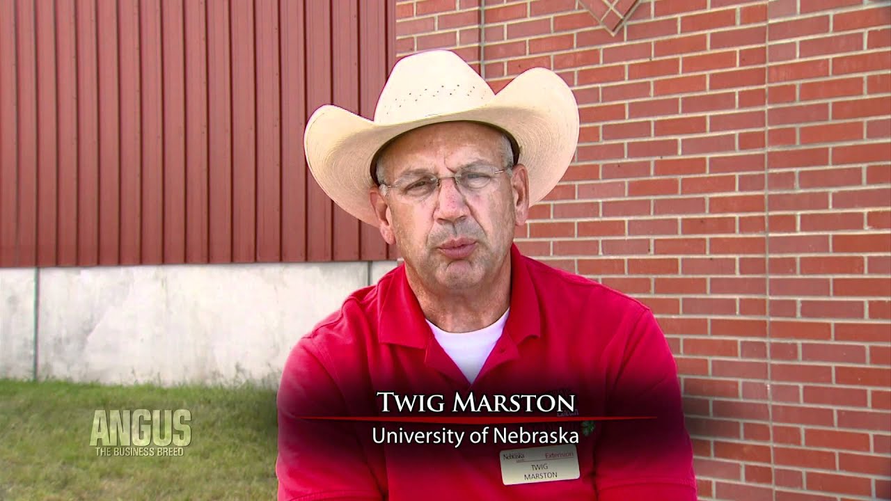 The Angus Report, October 10, 2011: Top News - YouTube