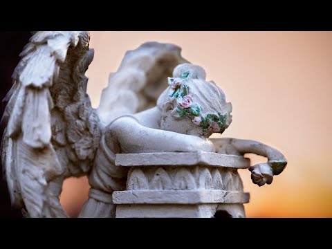 Am I Dead? - YouTube