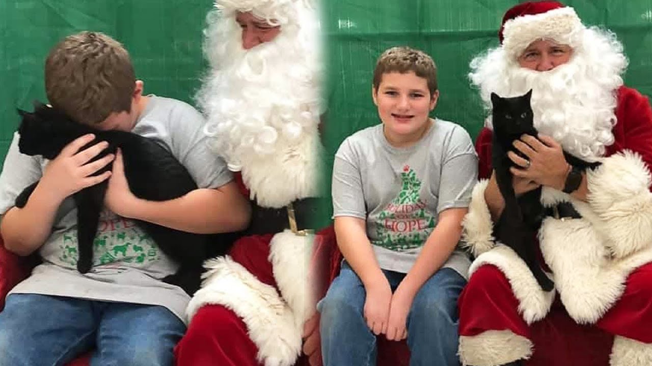 Heartbroken Boy Who Lost His Cat Gets a Kitty As a Gift, And It's So ...