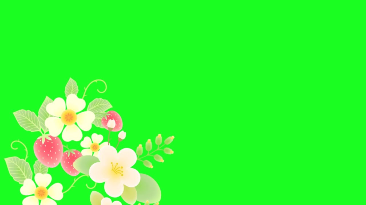 flower green screen video effects | - YouTube