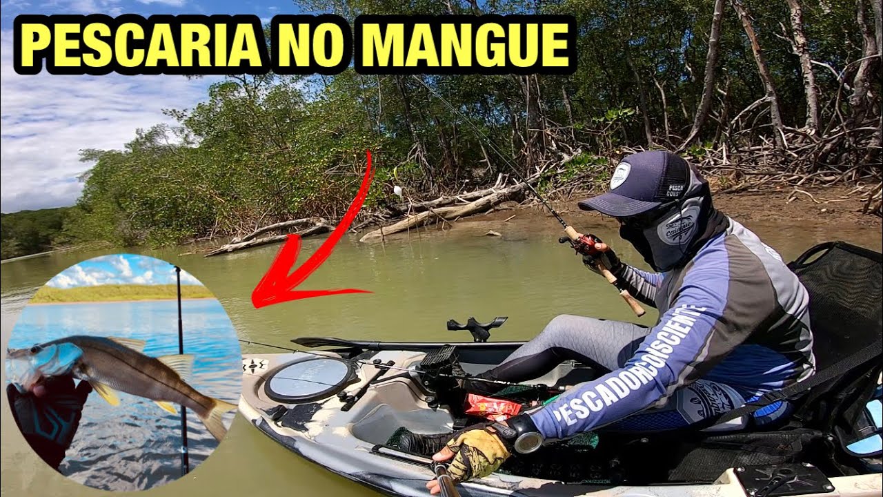 DIA DE PESCA DIFÍCIL - Pescaria de Robalo no mangue - Rio Mucuri - YouTube