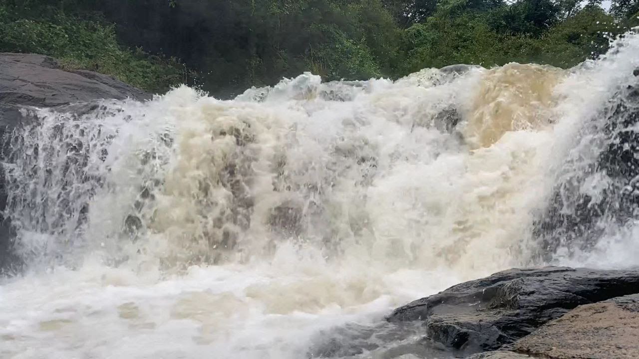 Kolli Hills Falls | Kollimalai Falls | Live | Kollimalai #kollimalai # ...