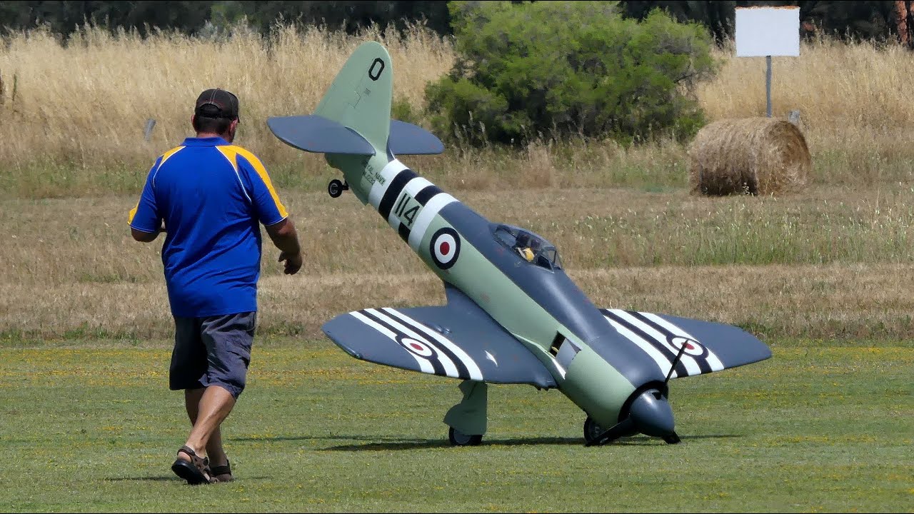 Giant RC Sea Fury flying at the KAMS Warbirds over Mundijong day 2020 ...