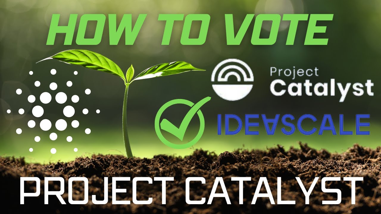 Get Paid In ADA | How To Vote In Cardano Project Catalyst - YouTube