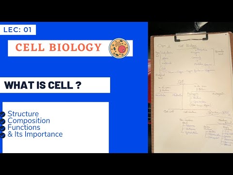 Class:11 | What Is Cell ?? | Structure & Chemical Composition of Cell ...