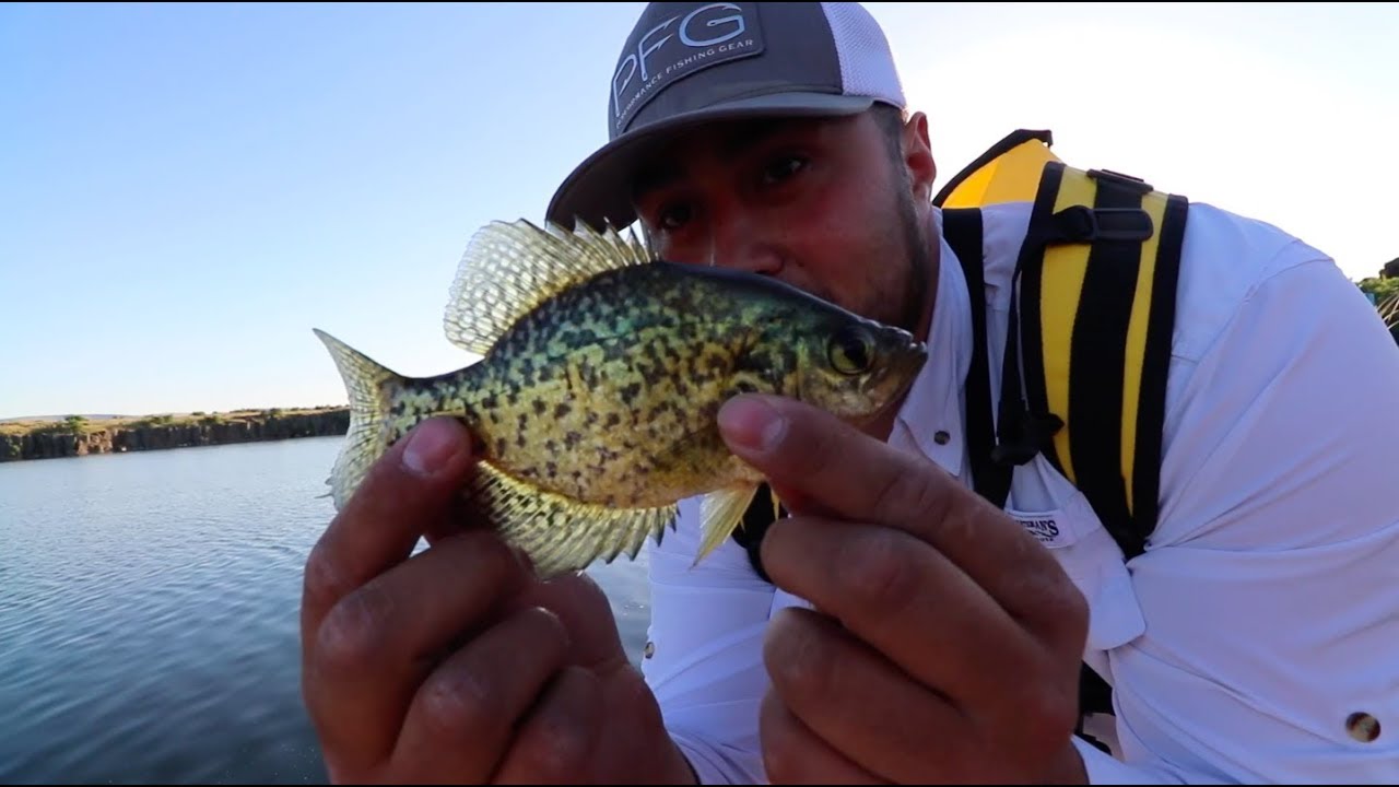 These fish are so FUN to catch! - YouTube