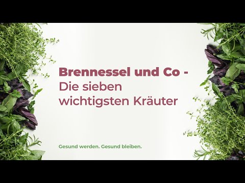 06.  Brennessel und Co, Die sieben wichtigsten Kräuter # Heidi Kohl # Gesund werden. gesund bleiben.