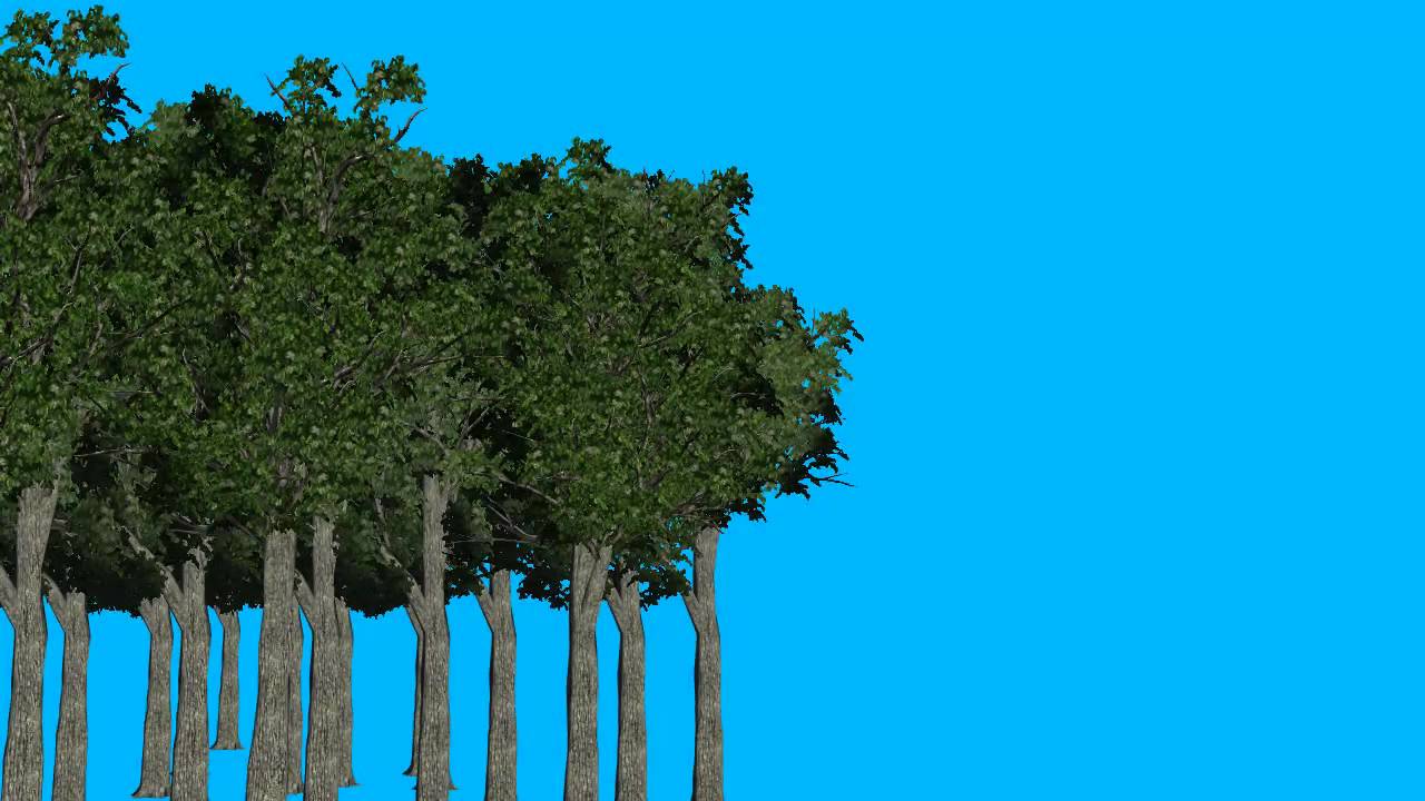 free green/blue screen effects - trees 4 - free use - YouTube