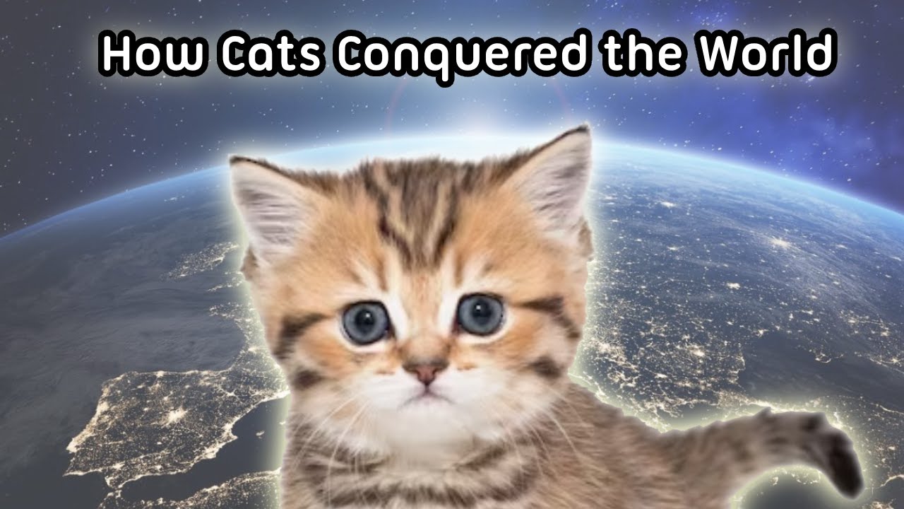 How Cats Conquered The World - YouTube
