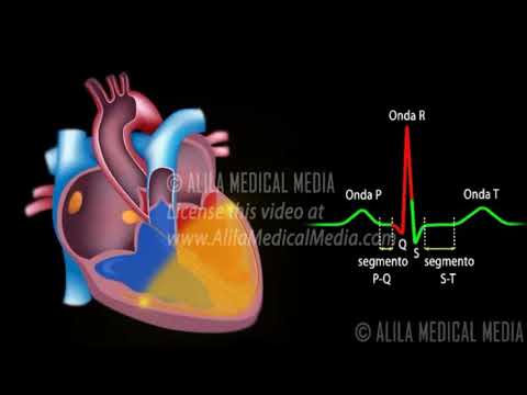 Módulo 40 Automatismo cardíaco - YouTube