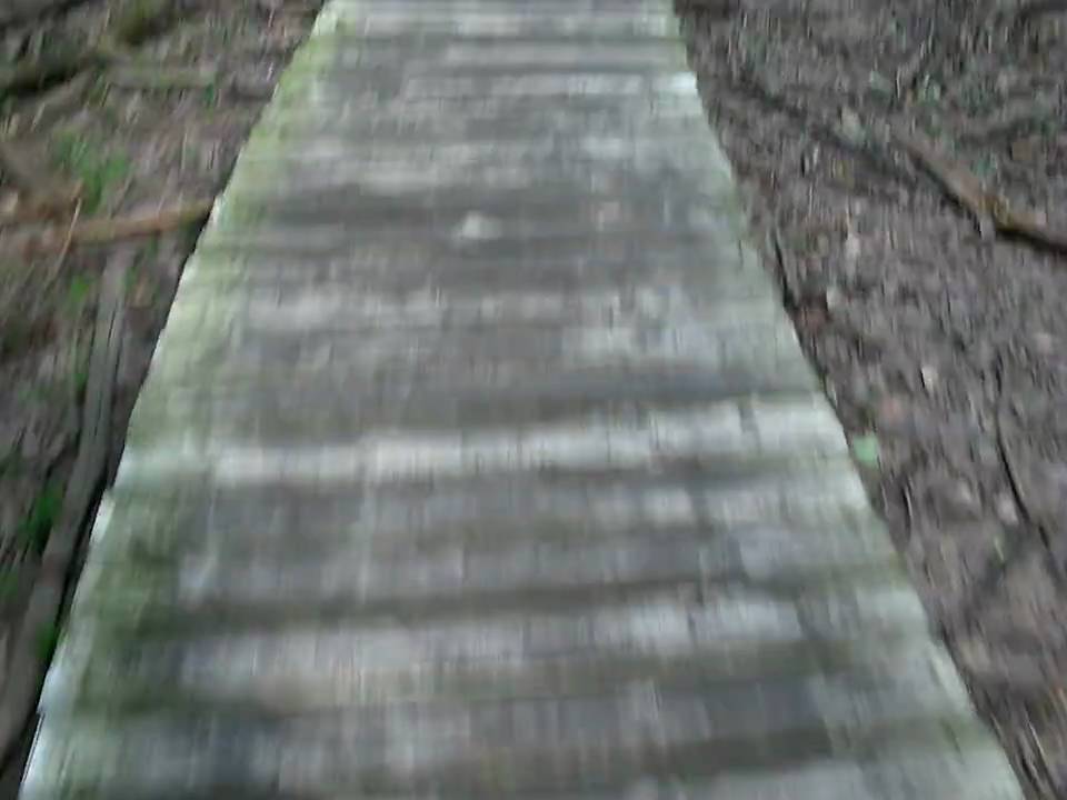 Walking on Wooden Plank Walkway, Forest Preserve - YouTube