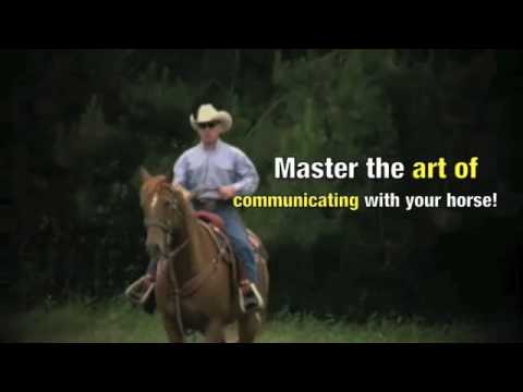 Breaking A Horse - Horse Training Tips Video - YouTube