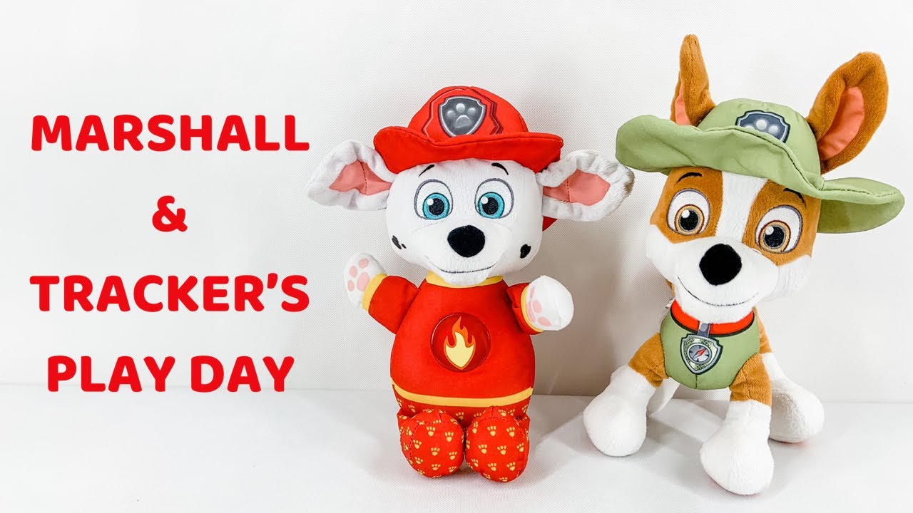 🔴 Paw Patrol 🔴 Marshall & Tracker’s Fun Day Together! Baby Pups Video ...