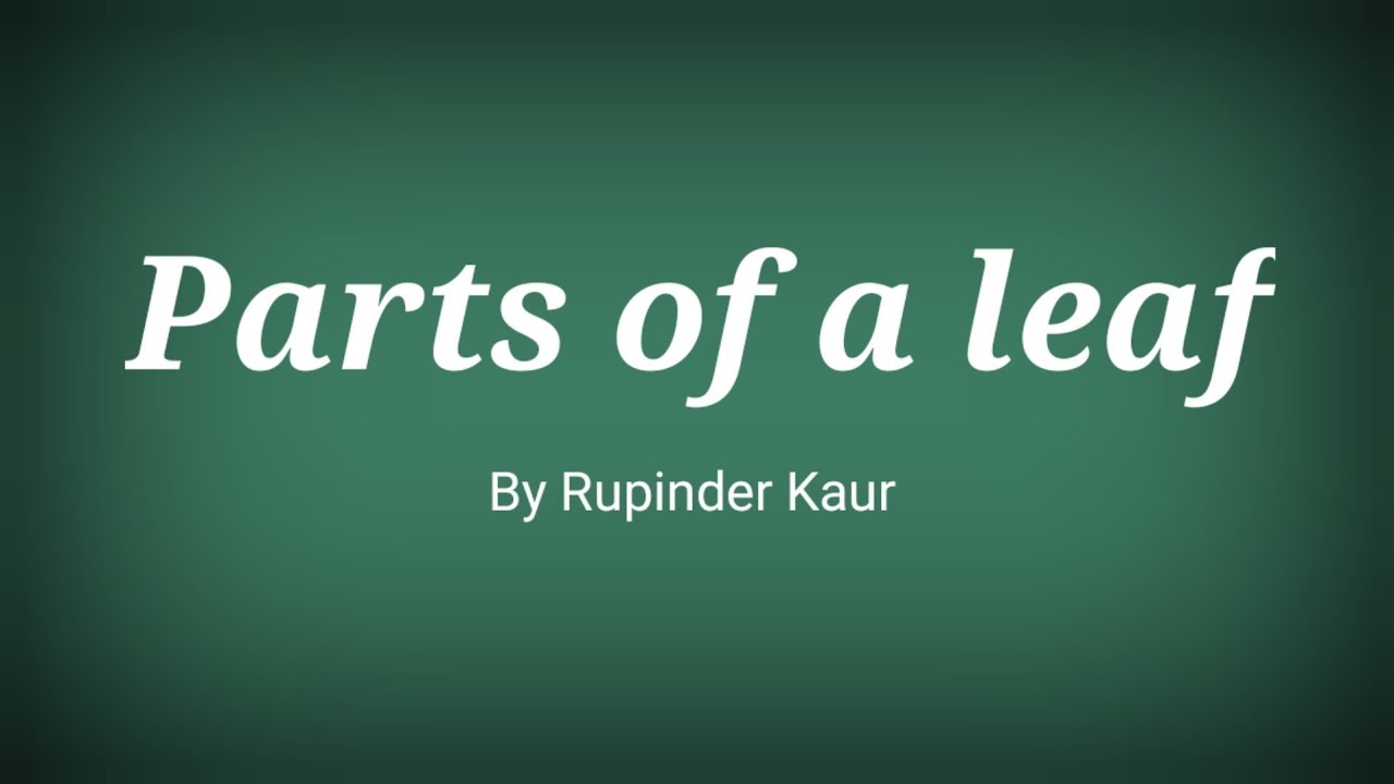 Parts Of Leaf In Hindi Parts Of Leaf Drawing Leaf Parts Leaf parts-of-leaf-in-hindi-parts-of-leaf-drawing-leaf-parts-leaf