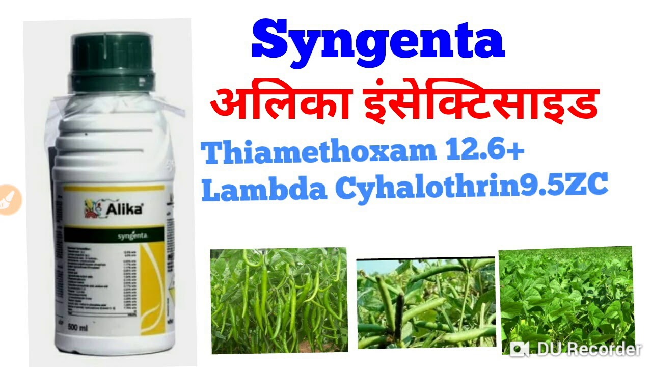 Syngenta Alika Insecticide|| Thiamethosam12.6%+Lambda Cyhalothrim9.5% ...
