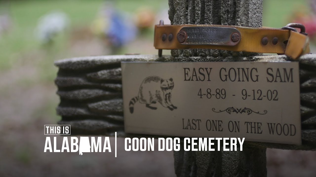 Coon Dog Cemetery | This is Alabama - YouTube