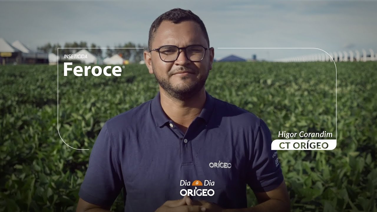 Inseticida Feroce: Choque extremo com a exclusiva Blast Technology ...