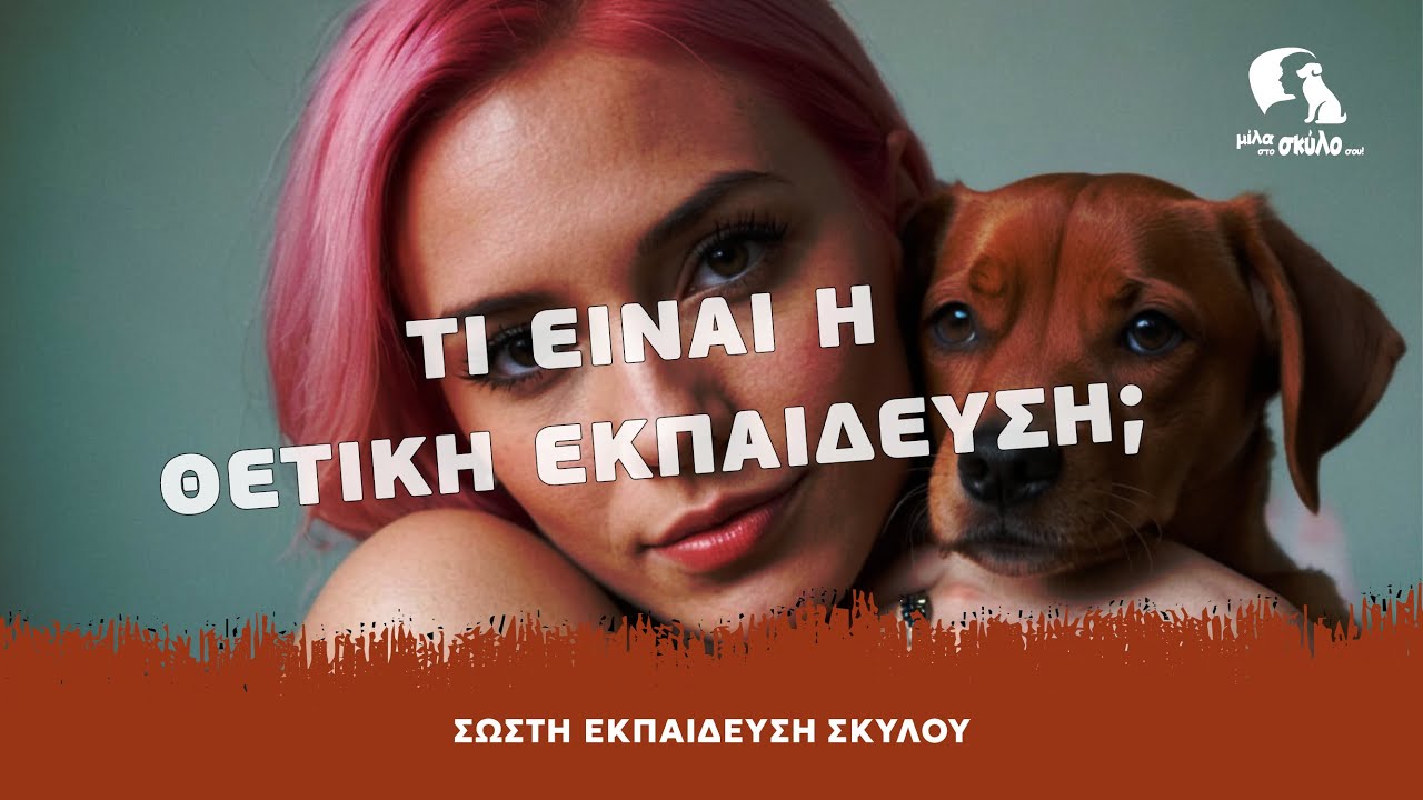 ΣΩΣΤΗ ΕΚΠΑΙΔΕΥΣΗ ΣΚΥΛΟΥ - Τι είναι θετική εκπαίδευση; | ΜΙΛΑ ΣΤΟ ΣΚΥΛΟ ...
