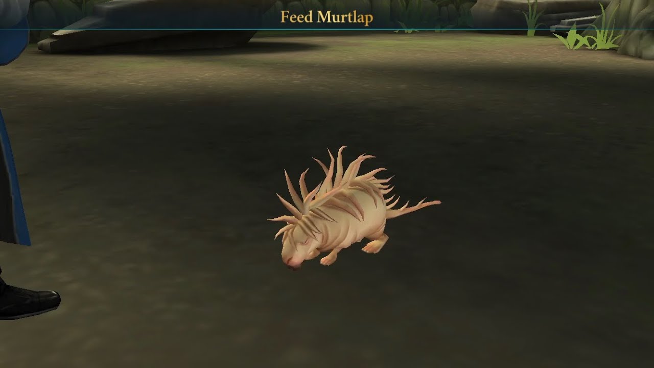 Murtlap Lesson - Harry Potter Hogwarts Mystery (Year 4 Chapter 8) - YouTube