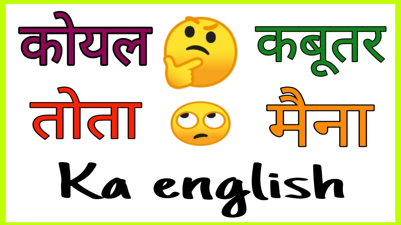 Koyal Ka English Tota Ka English Myna Ka English Kabutar Ka koyal-ka-english-tota-ka-english-myna-ka-english-kabutar-ka