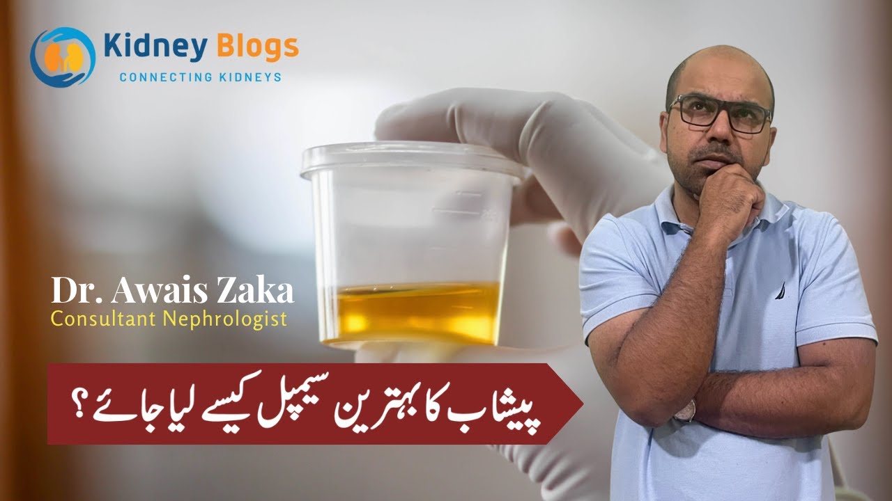 Your Best Urine Sample | Dr. Awais Zaka, MD | Nephrologist | Expert ...