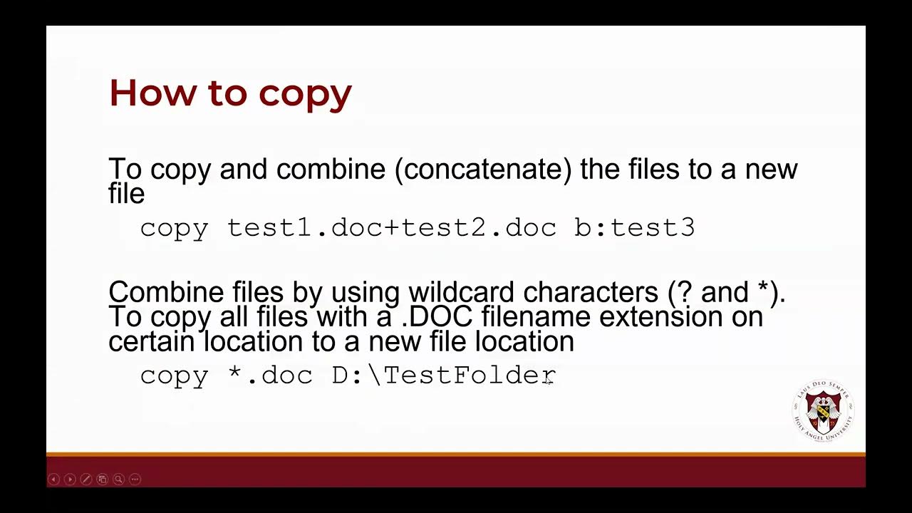 File System Navigation and Manipulation Part 2 - YouTube
