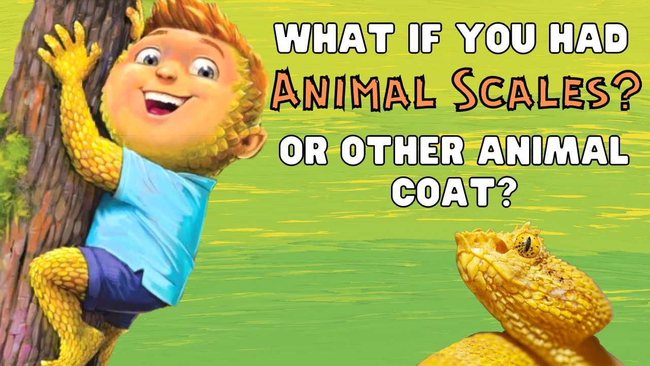 Read Aloud Books | Wild Animal Fun Facts For Kids! - YouTube