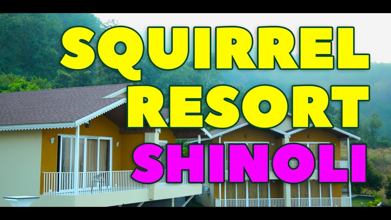 Squirrel Resort | Synchronizing you with nature | Resort near ...