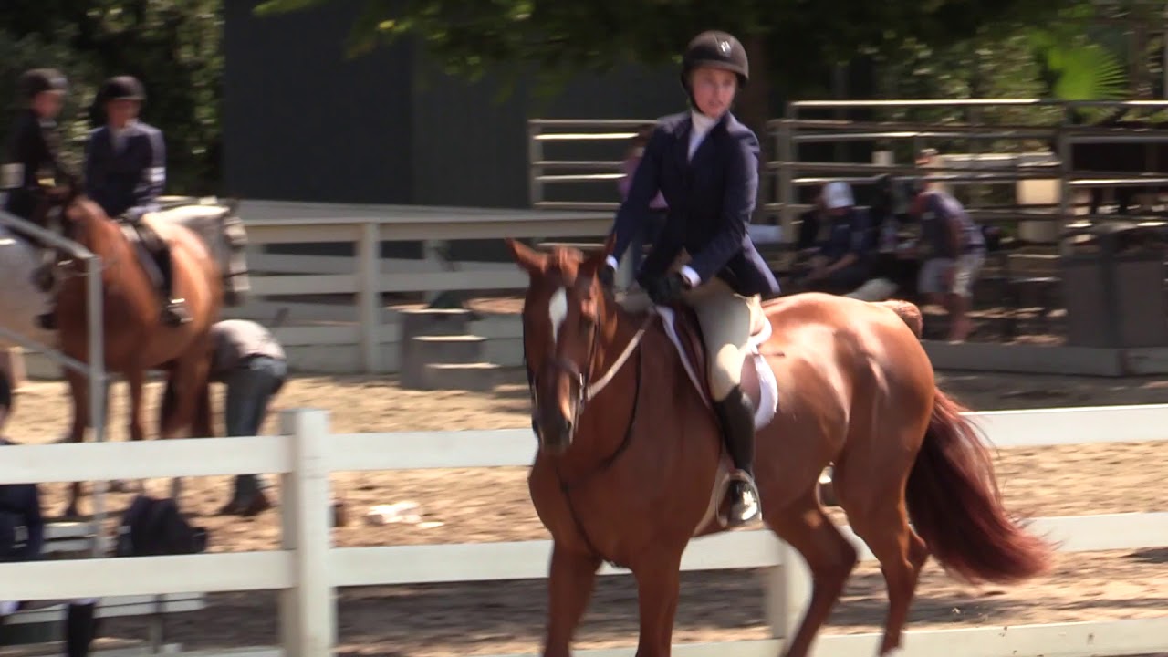 751 - Emily Beutner - Ambassador - YouTube