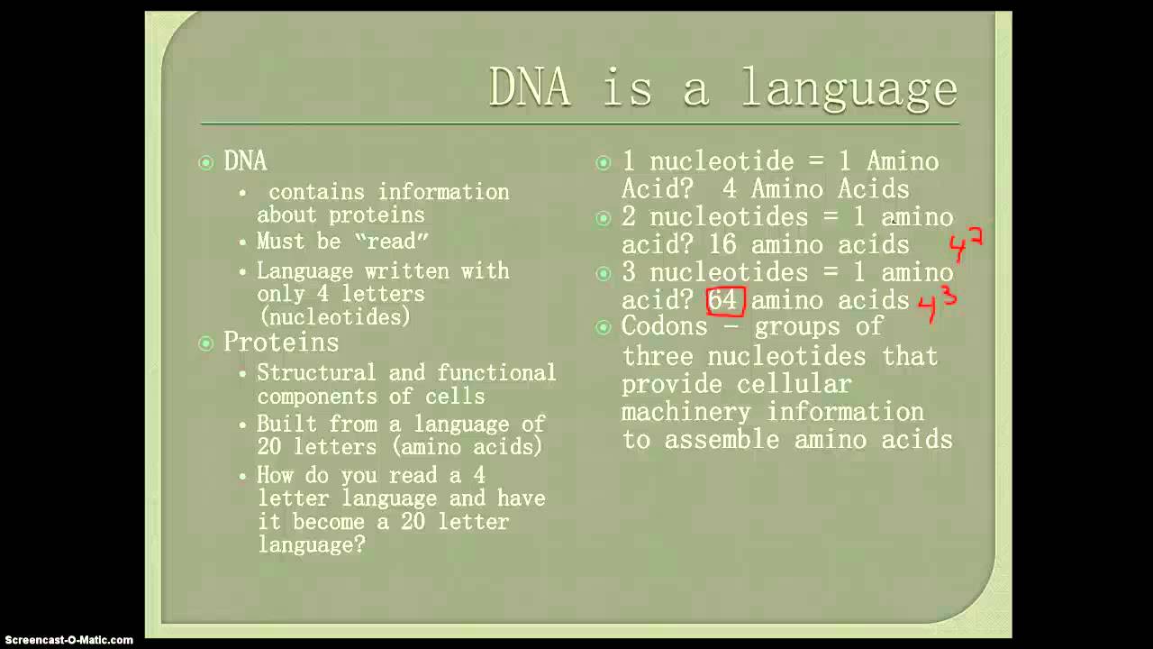 Reading DNA - YouTube