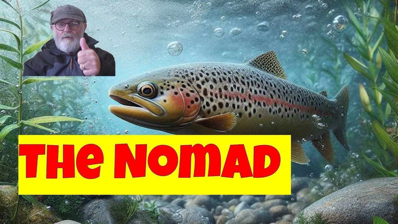 Fly tying for trout patterns tutorial (The Nomad) - YouTube