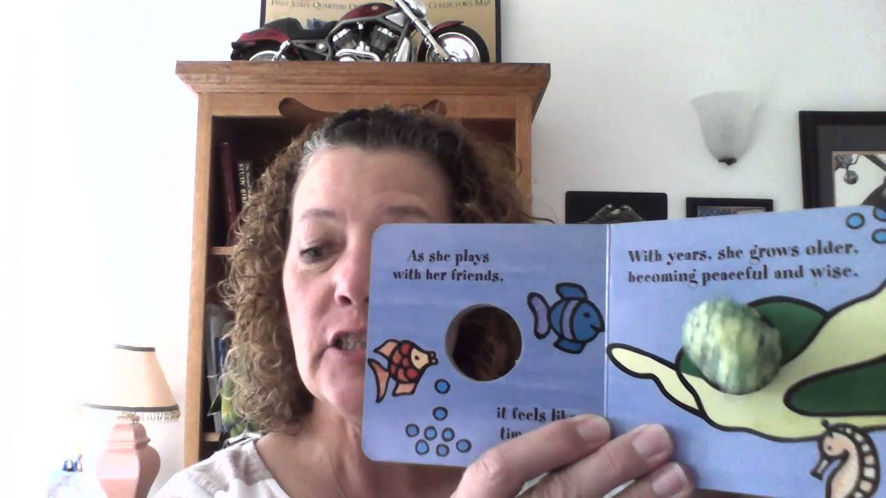 Little Sea Turtle Story Book - YouTube