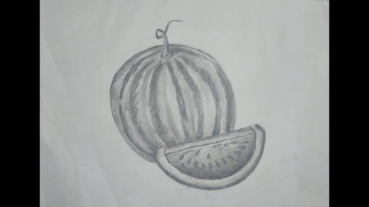 How to Draw Watermelon | Pencil Sketch | Drawing Tutorial | TYT Drawing ...