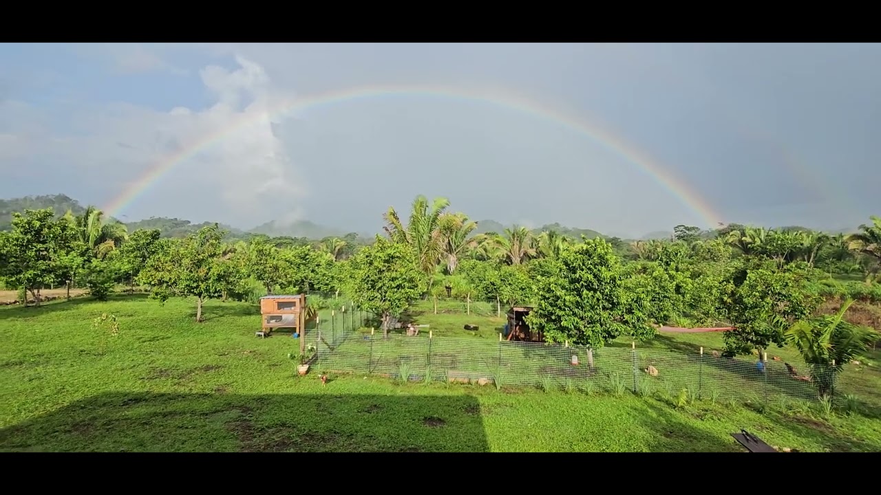 GOOD MORNING from beautiful Belize... What an AMAZING VIEW/RAINBOWS are ...