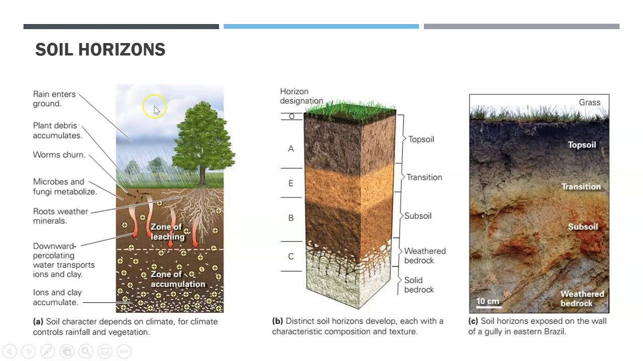 4.2 Soil Formation and Erosion - YouTube