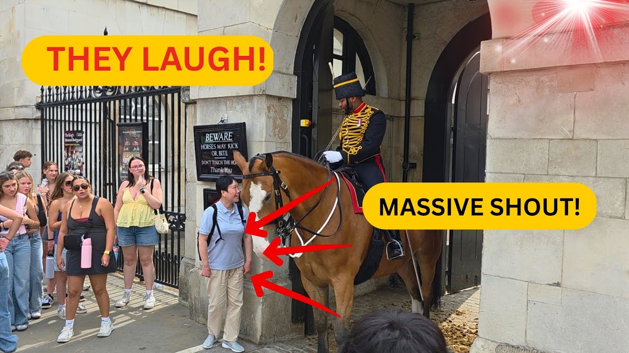 KING’S GUARD SHOUTS AT CHINESE TOURIST TO GET OUT OF THE BOX — WHY DID ...